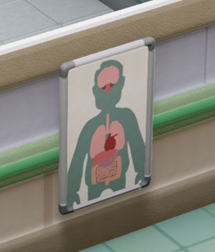 The Top 10 Best Two Point Hospital Items