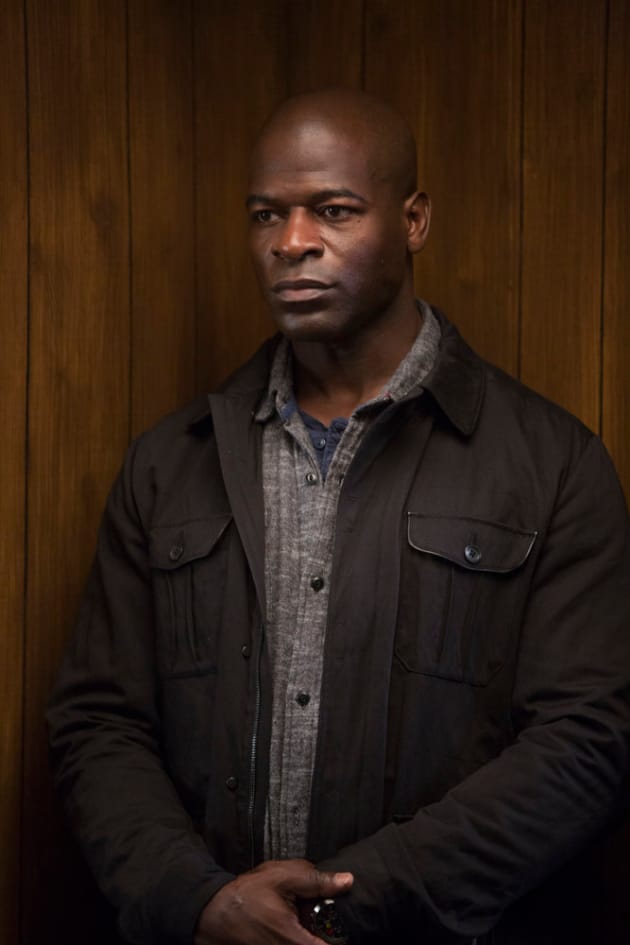 Ten Things Blacklist Fans Should Know About Dembe Zuma - Nerds & Scoundrels